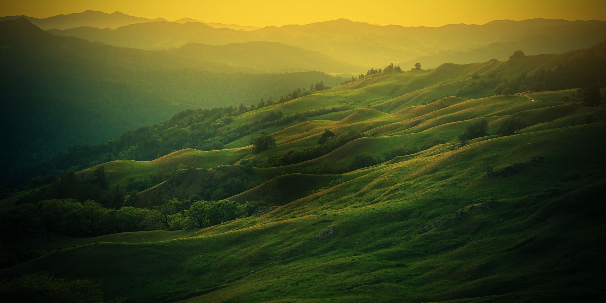 FoxFarm Soil & Fertilizer Company