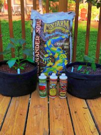 How to Grow Your Own Veggies - FoxFarm Soil & Fertilizer Company